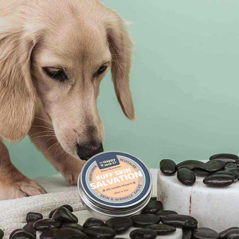 Soothing Skin Balm For Dogs | RUFF SKIN SALVATION | - The Happy Jack Co