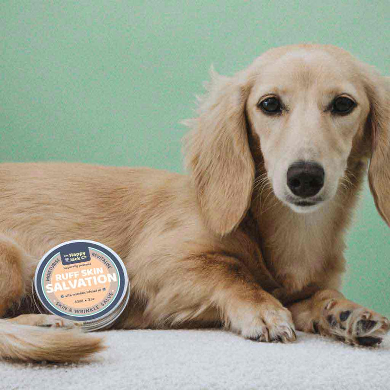 Soothing Skin Balm For Dogs | RUFF SKIN SALVATION | - The Happy Jack Co